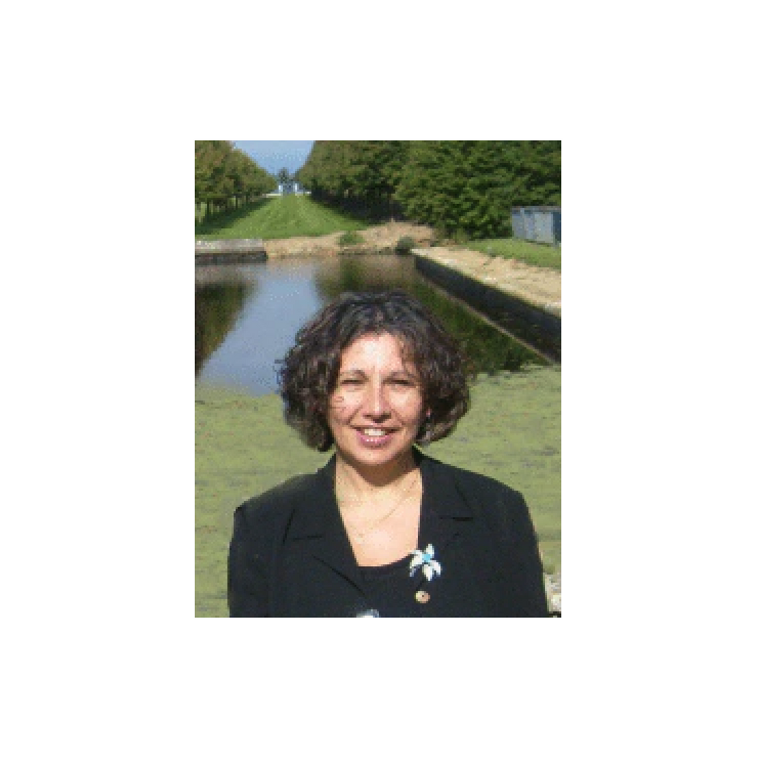 Yael Hassan – Children's Author | Wednesday Editions – Éditions du Mercredi